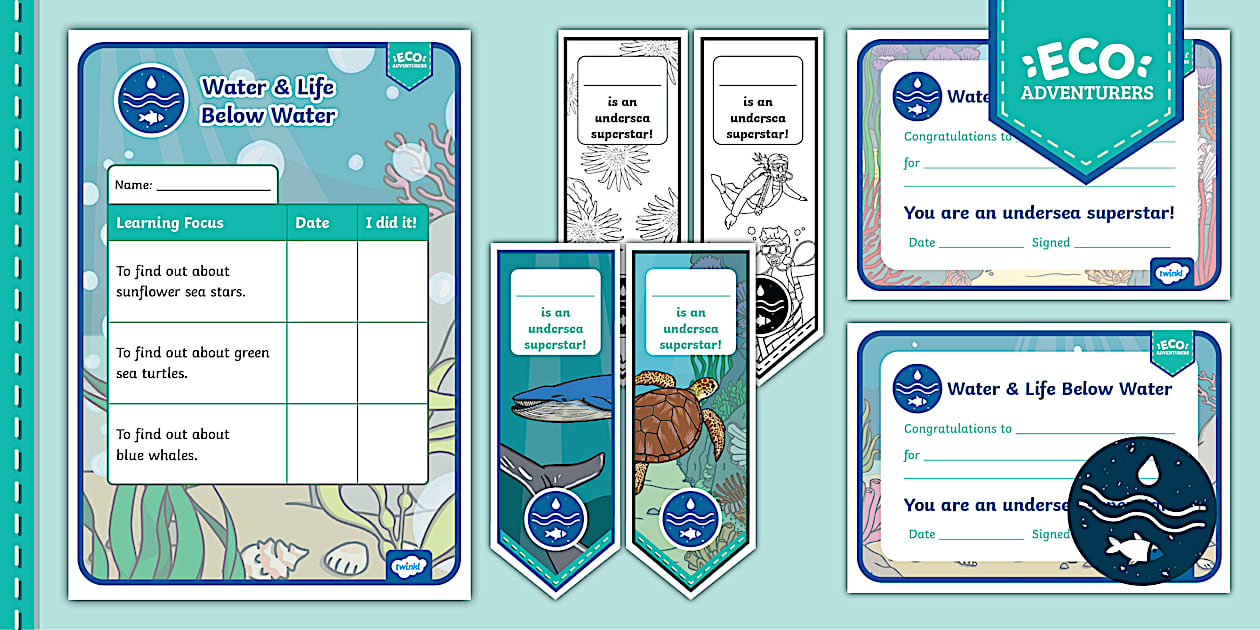 EYFS Bookmarks, Certificates & Reward Charts - Twinkl
