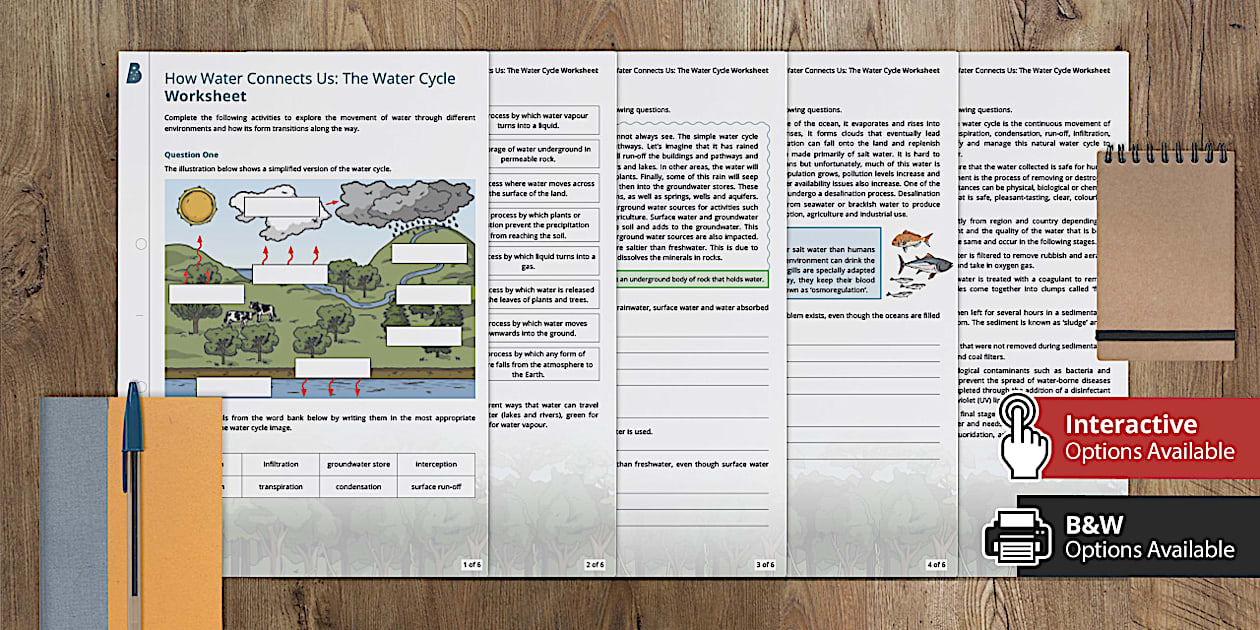 How Water Connects Us: The Water Cycle Worksheet - Twinkl