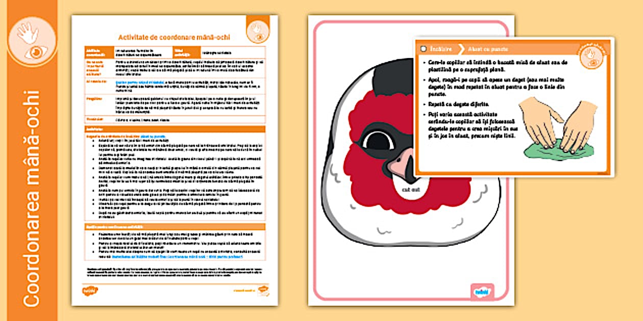 Dezvoltarea abilităților motorii fine: Hrănește sticletele