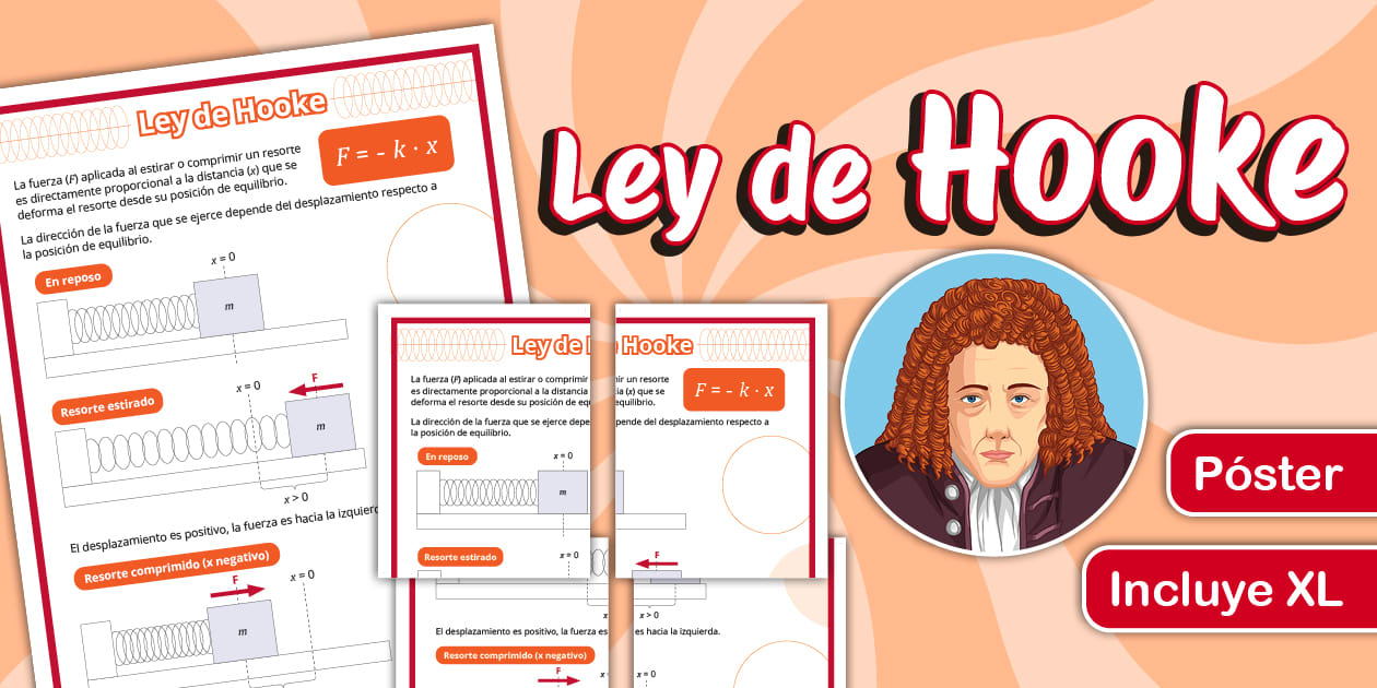 Póster | Ley de Hooke | Ciencias| 7° Básico | Física