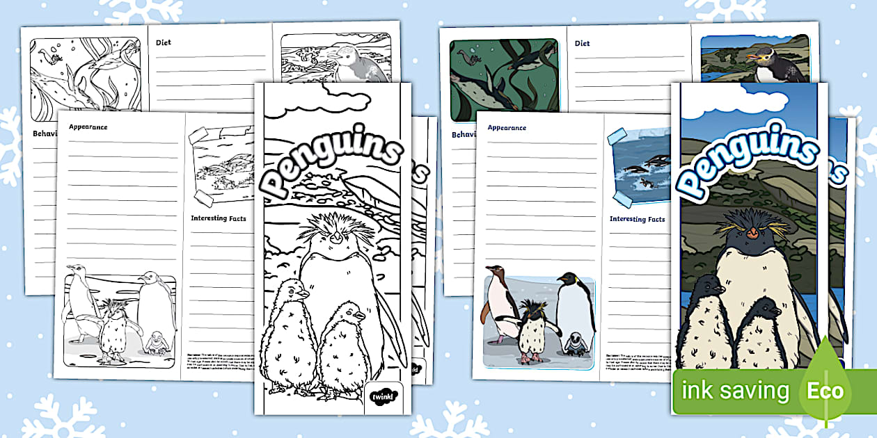 Penguin Leaflet Template (teacher made) - Twinkl