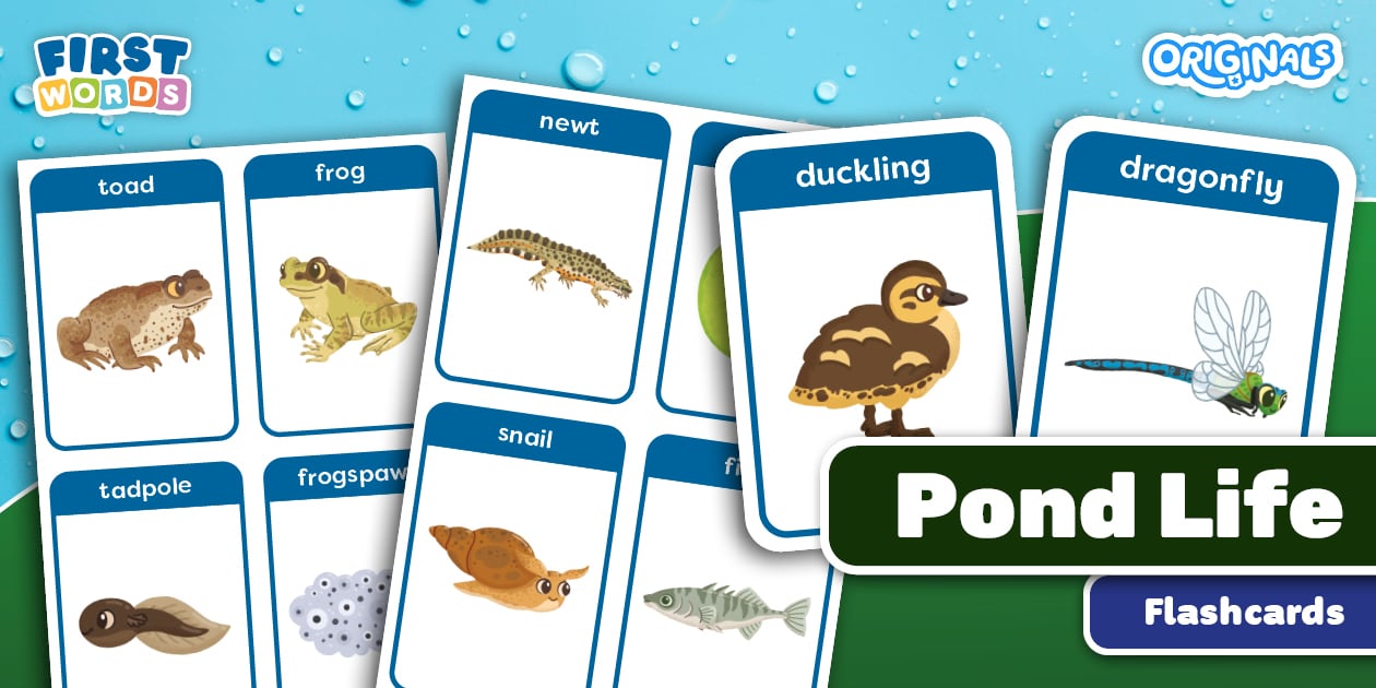 Originals First Words Flashcards: Pond Life