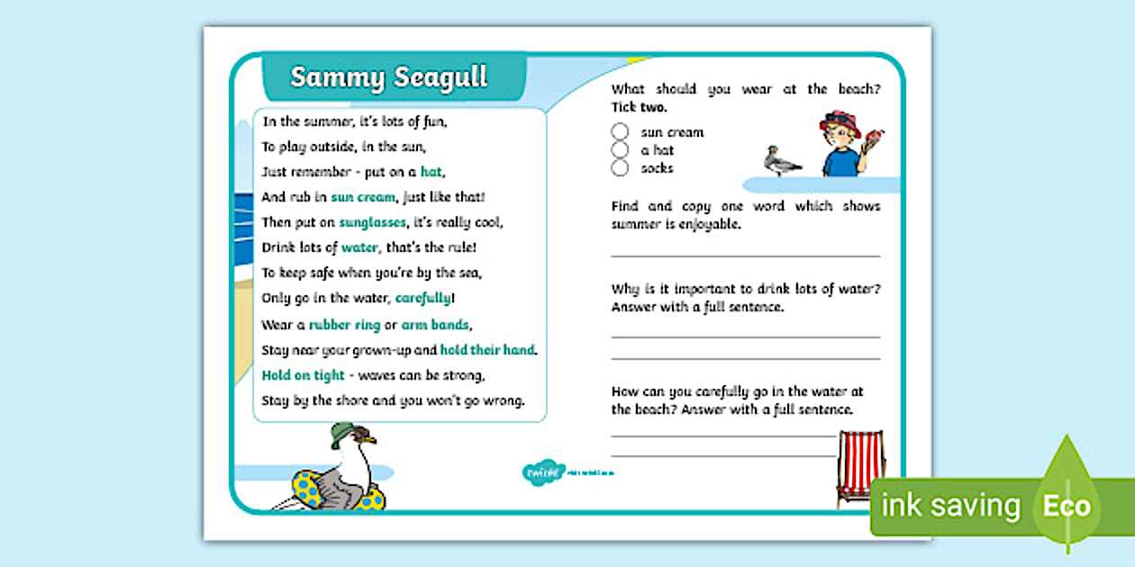 Sammy Seagull Reading Comprehension Mat (teacher made)