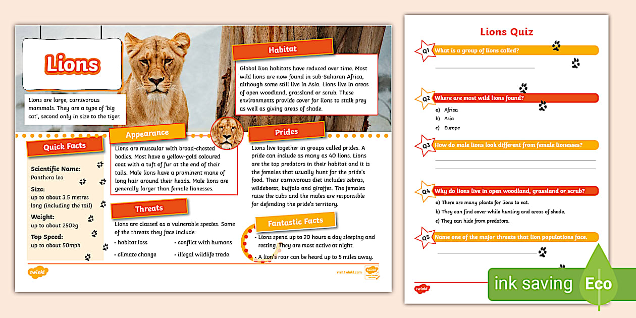 KS2 Lion Fact File and Quiz - Animals (l'enseignant a fait)