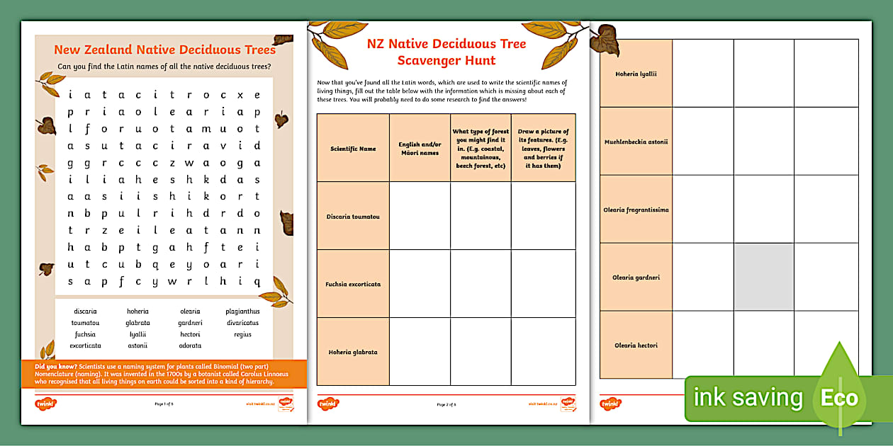 NZ Native Deciduous Tree Word Search and Scavenger Hunt