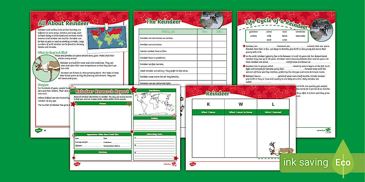 Ready-to-use Christmas Reindeer Activity Pack - Twinkl
