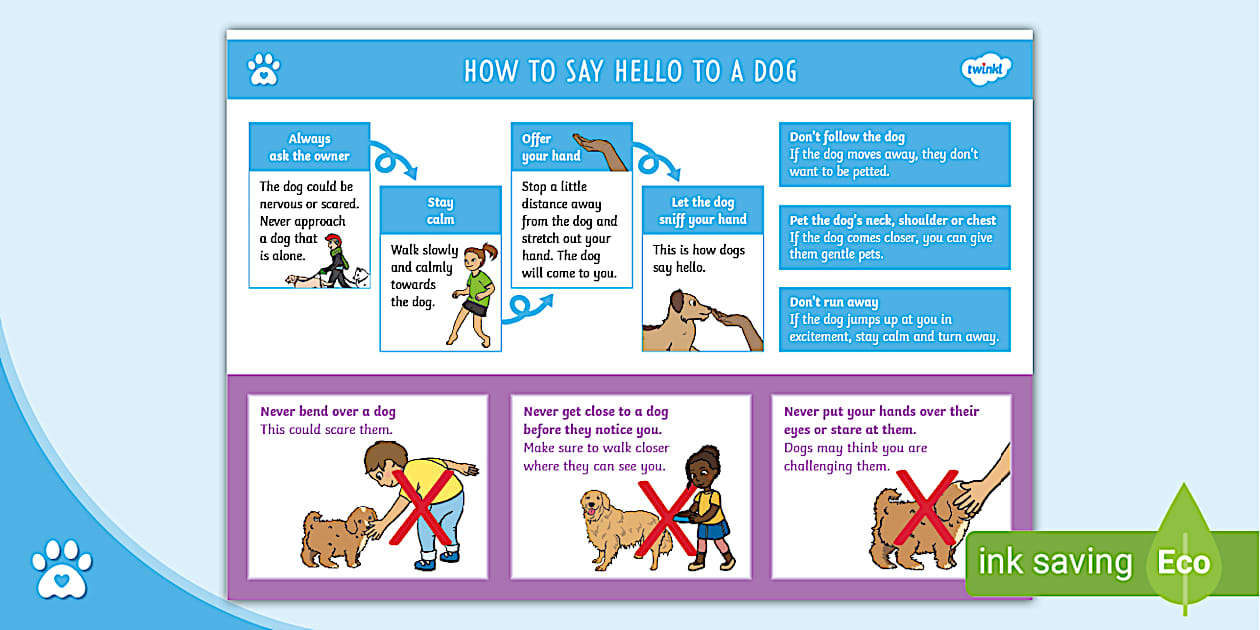 How to Say Hello to a Dog - Sequencing Poster - Twinkl Pets