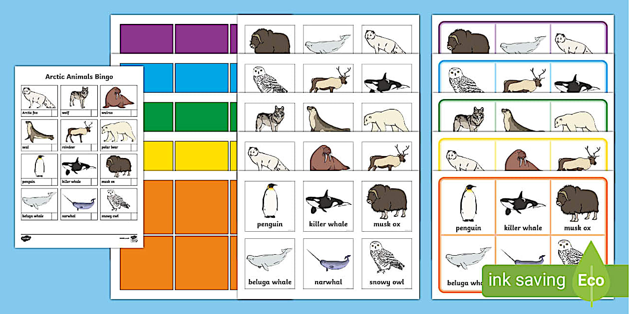 Precursive Polar Animals Bingo (teacher made) - Twinkl