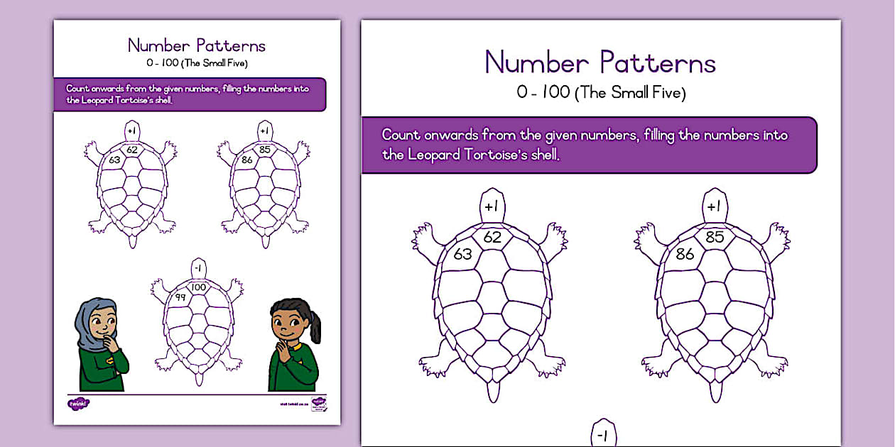 Grade 1 Maths: Number Patterns: 1's to 100 (teacher made)