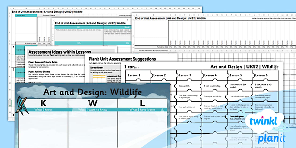 Art: Wildlife Birds UKS2 Unit Assessment Pack (teacher made)