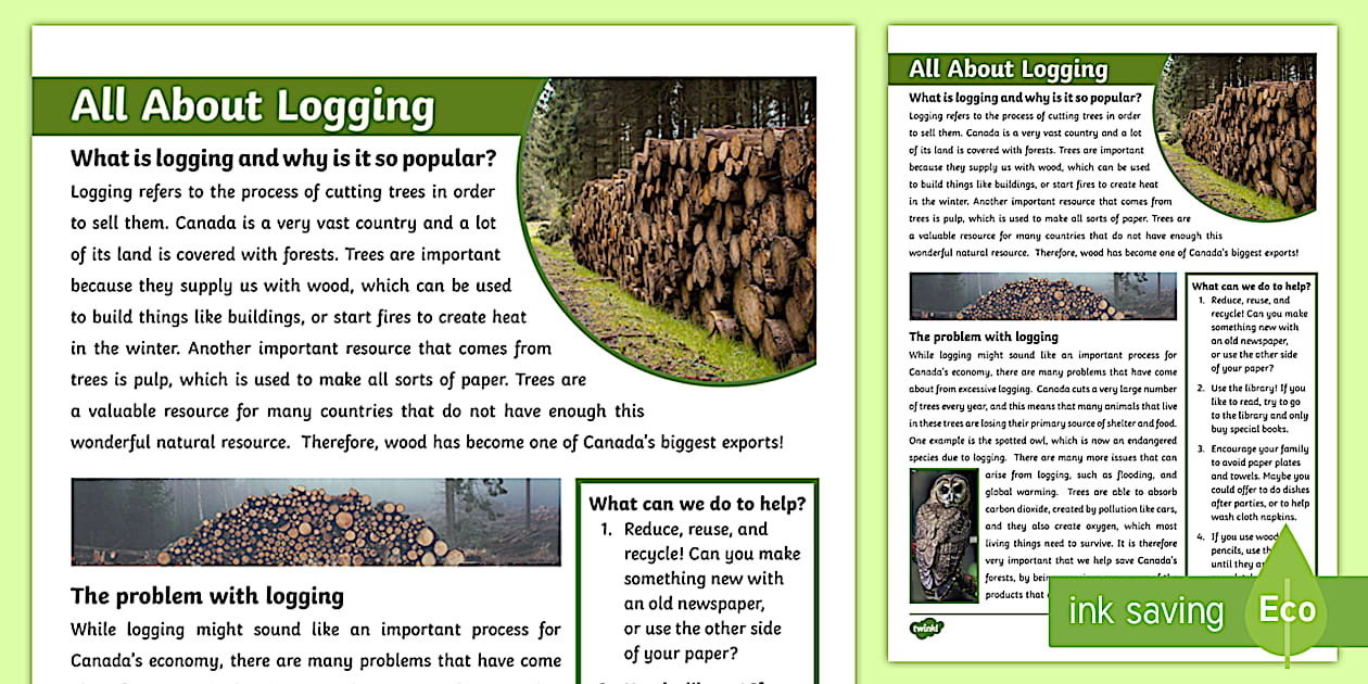 All About Logging Fact File - Twinkl