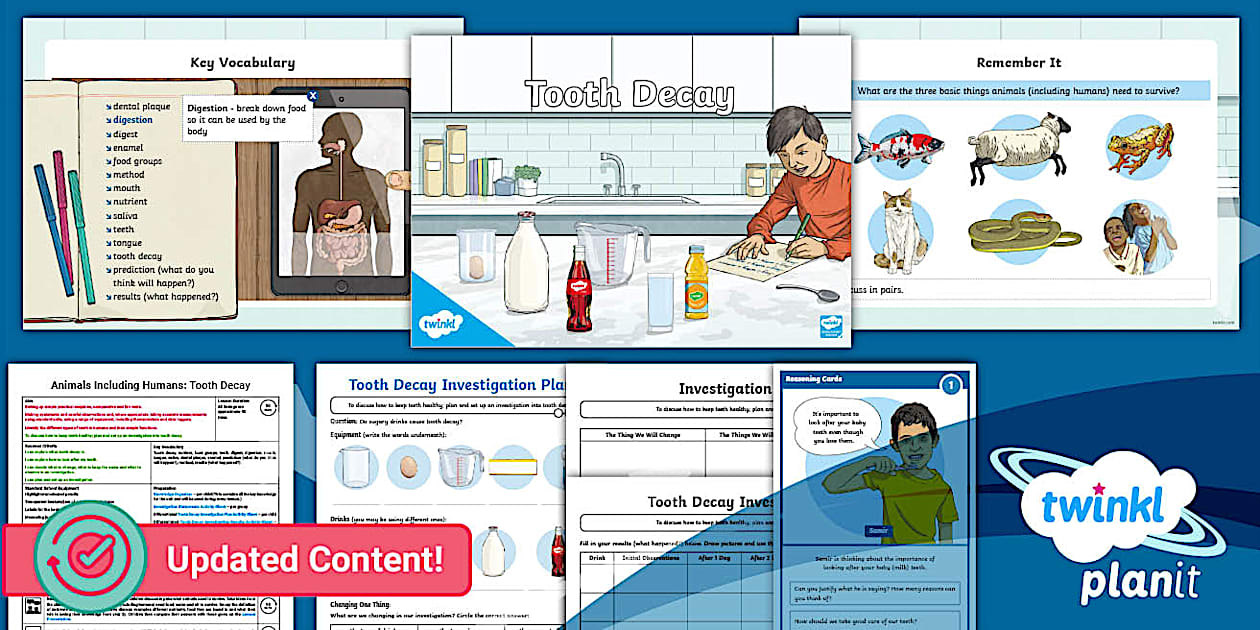Lesson Plan on the Human Body for Grade 3 - Digestive System