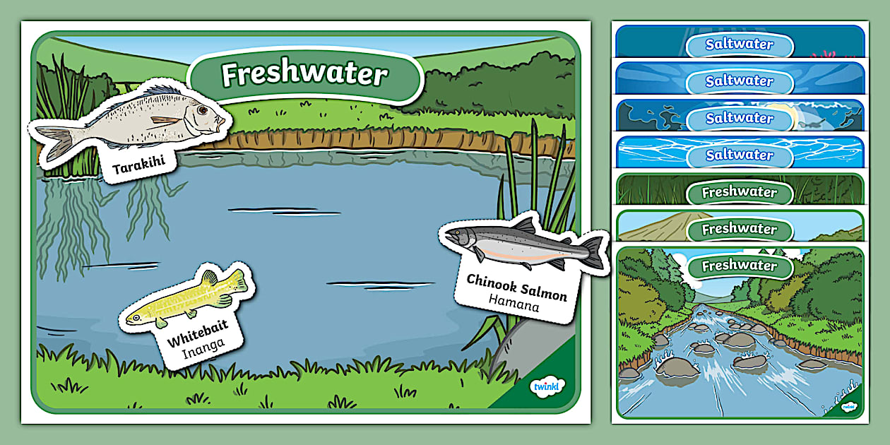 New Zealand Habitats: Freshwater vs Saltwater Fish Sorting Activity