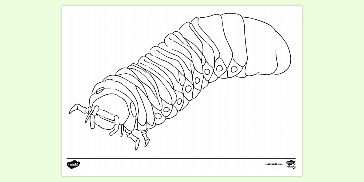 Larvae Colouring Sheet | Colouring Sheets (teacher made)