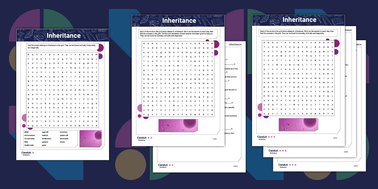 Inheritance: Word Search Activity Sheet - Twinkl