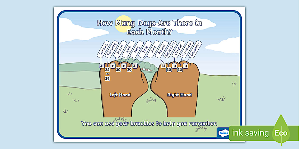 Days In A Month Using Knuckles Display Poster Teacher Made