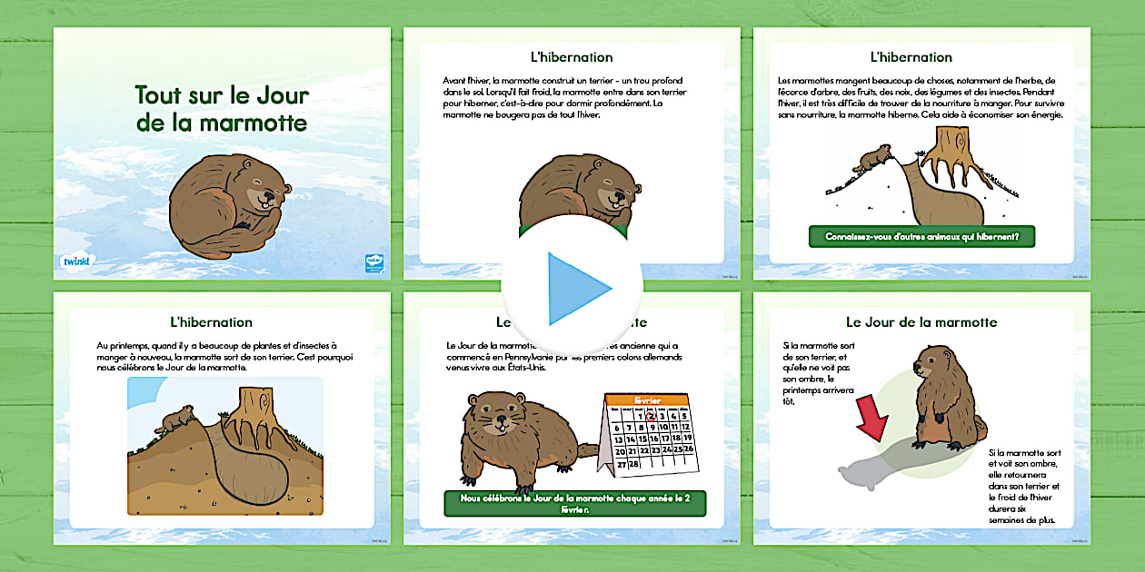 All About Groundhog Day PowerPoint French (teacher made)