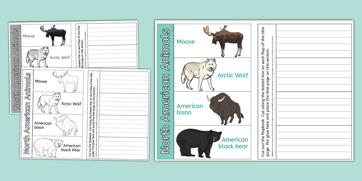 North American Animals Flapbook (Teacher-Made) - Twinkl