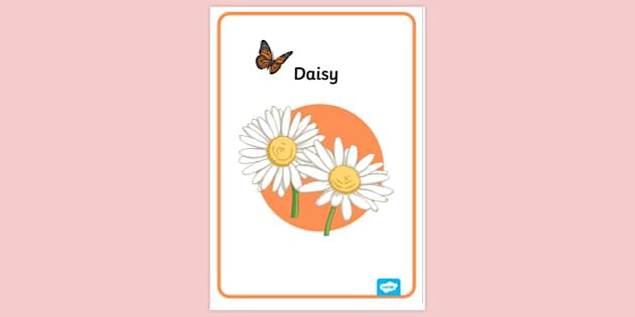 Daisy Poster | Primary Resources | Twinkl Made - Twinkl
