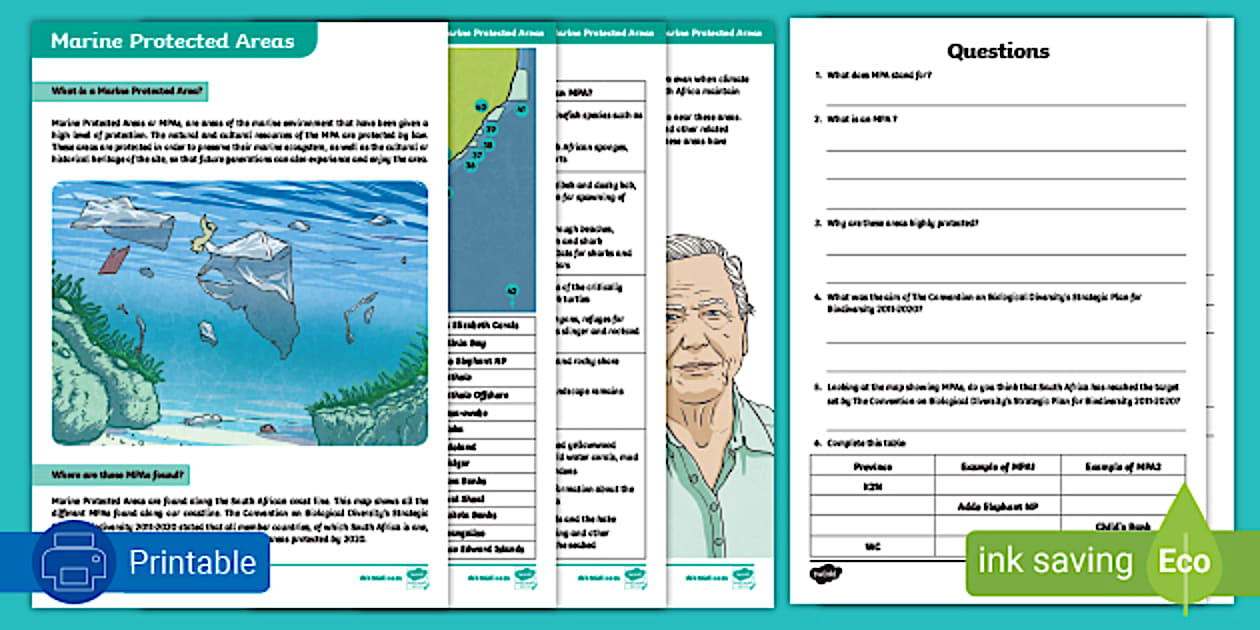 Marine Protected Areas | Wildlife Of South Africa - Twinkl