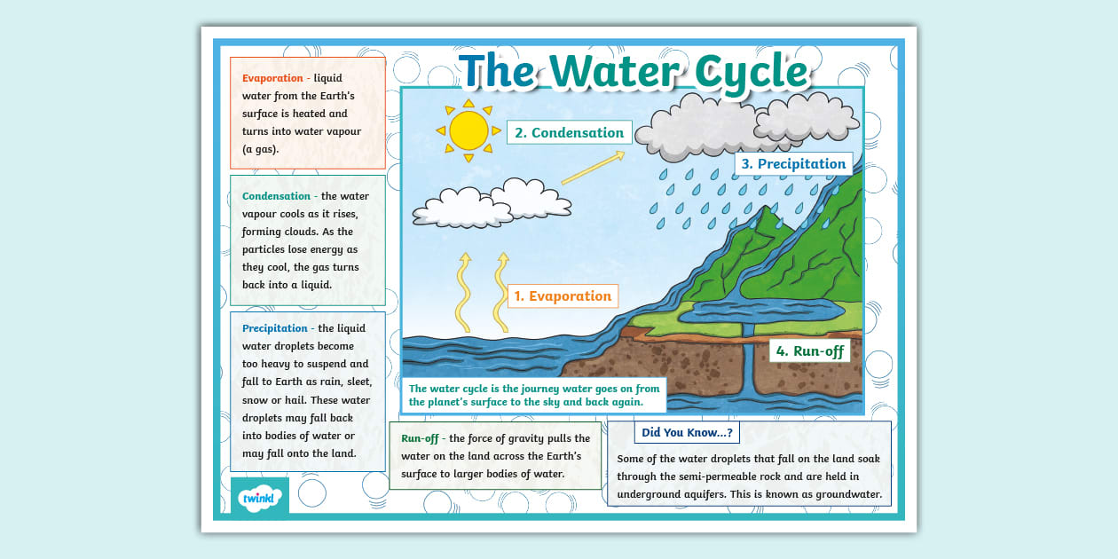 The Water Cycle Information Poster (teacher made) - Twinkl The Water Cycle Information Poster (teacher made) - Twinkl
