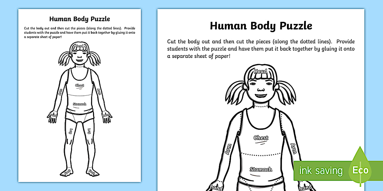 The Human Body Puzzle - Twinkl