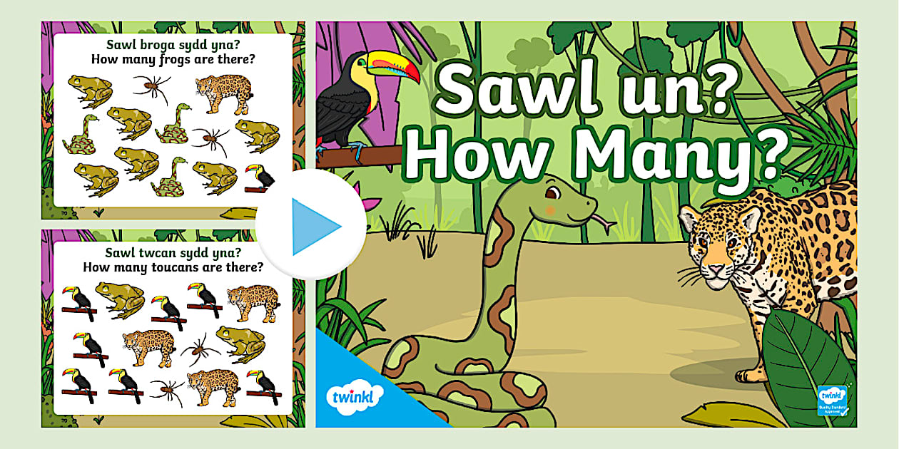 Learn Welsh Counting to Ten Rainforest Animals - Twinkl