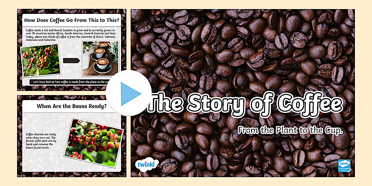 The Story of Coffee PowerPoint (teacher made) - Twinkl