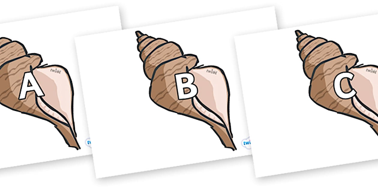 Cursive A-Z Alphabet on Sea Shells (Hecho por educadores)