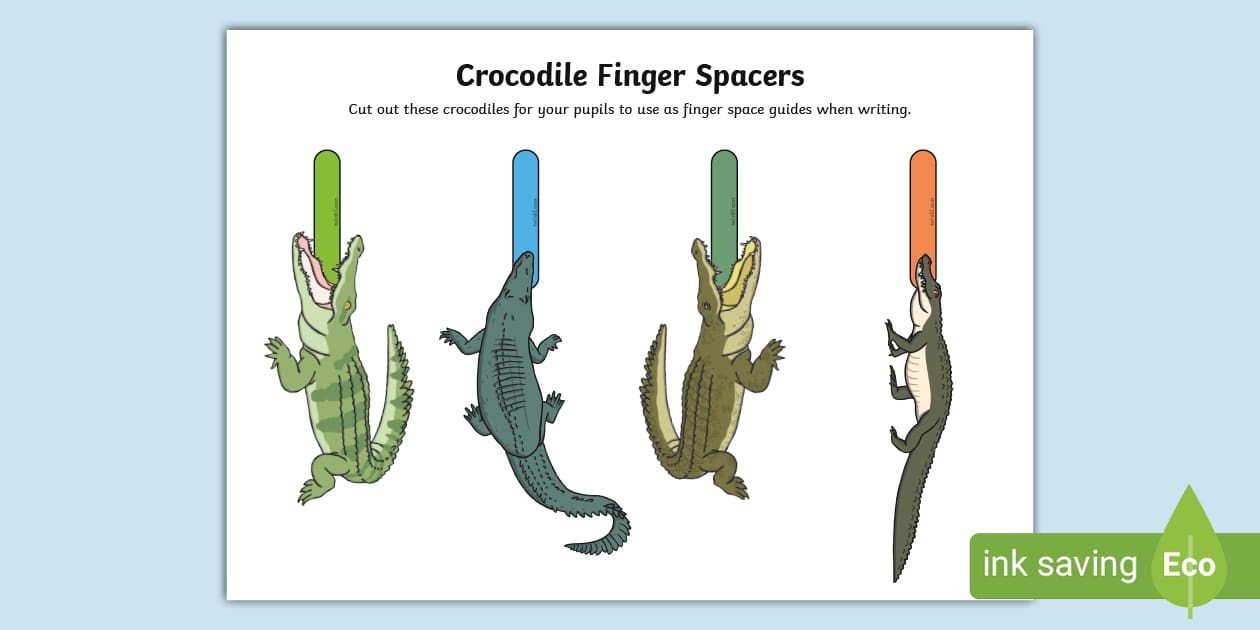 Crocodile Writing Finger Spacers (teacher made) - Twinkl