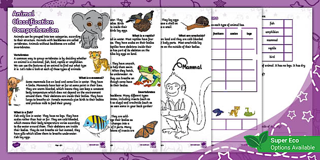 Animal Classification Comprehension (Ages 5 - 6)
