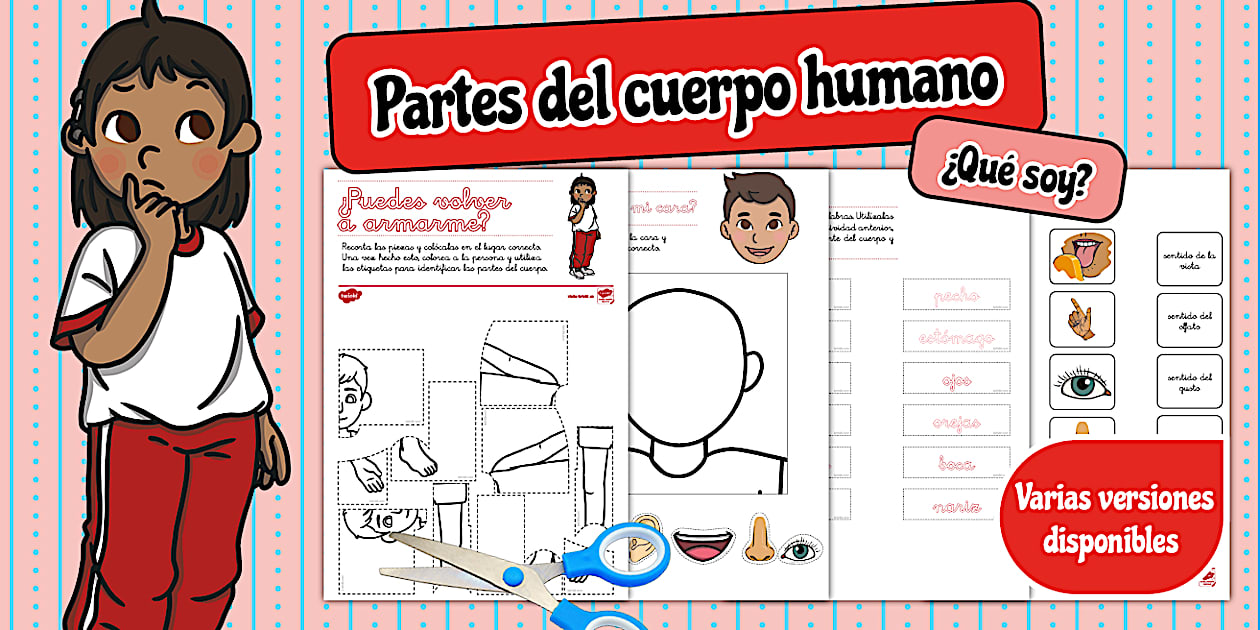 Ficha de actividad: Partes del cuerpo humano - ¿Qué soy?