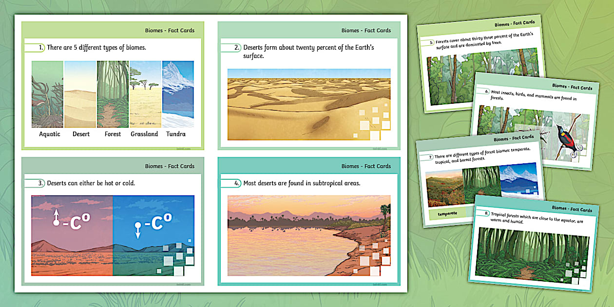 Biomes - Fact cards (teacher made) - Twinkl