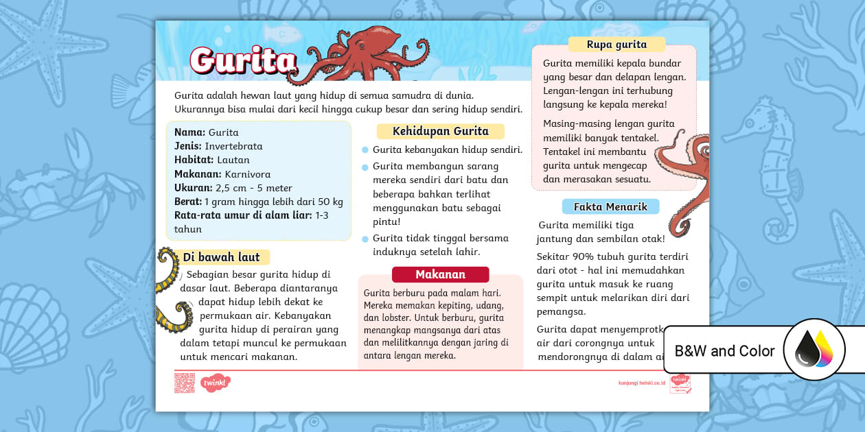 Fakta tentang Gurita (teacher made) - Twinkl