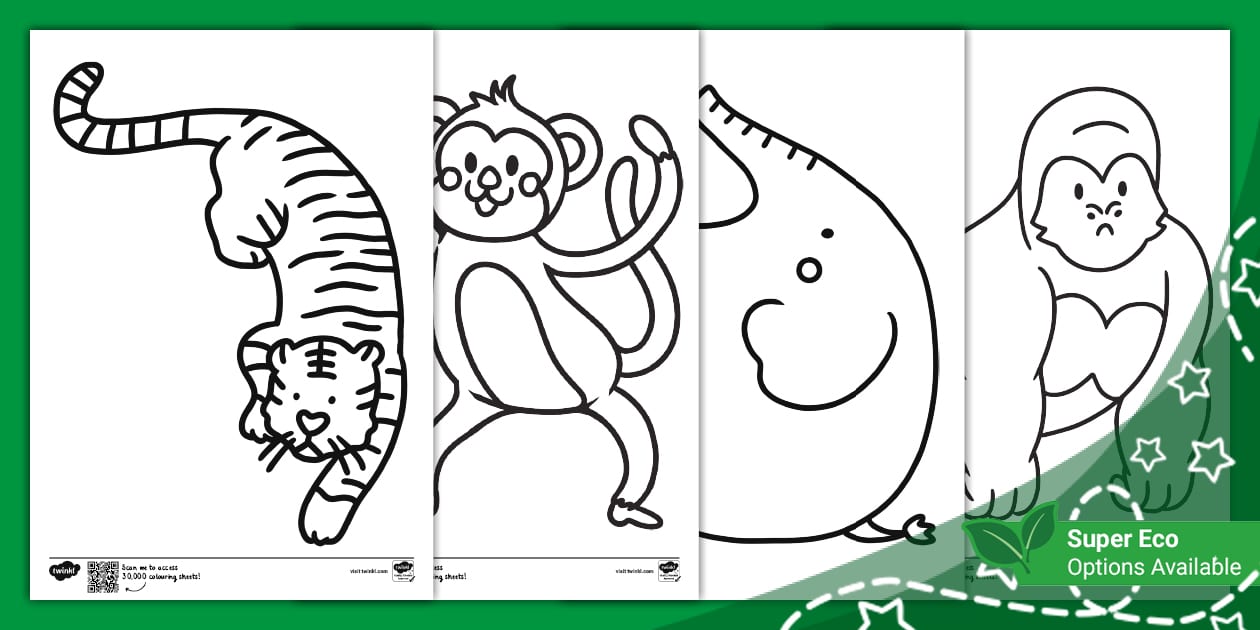 My First Jungle Colouring Pack (teacher made) - Twinkl