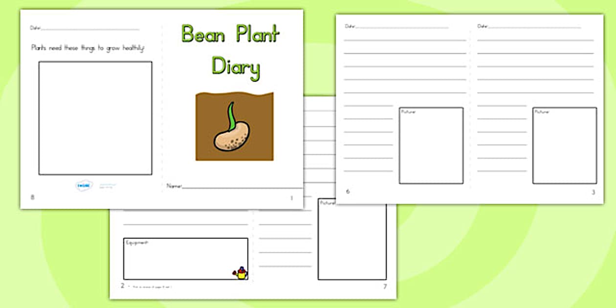 Bean Plant Diary Writing Frame (teacher made) - Twinkl