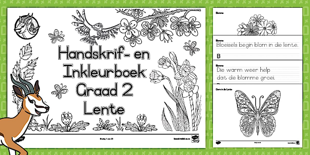 Graad 2 Lente Handskrif- en Bewustheid Inkleurboek - Twinkl
