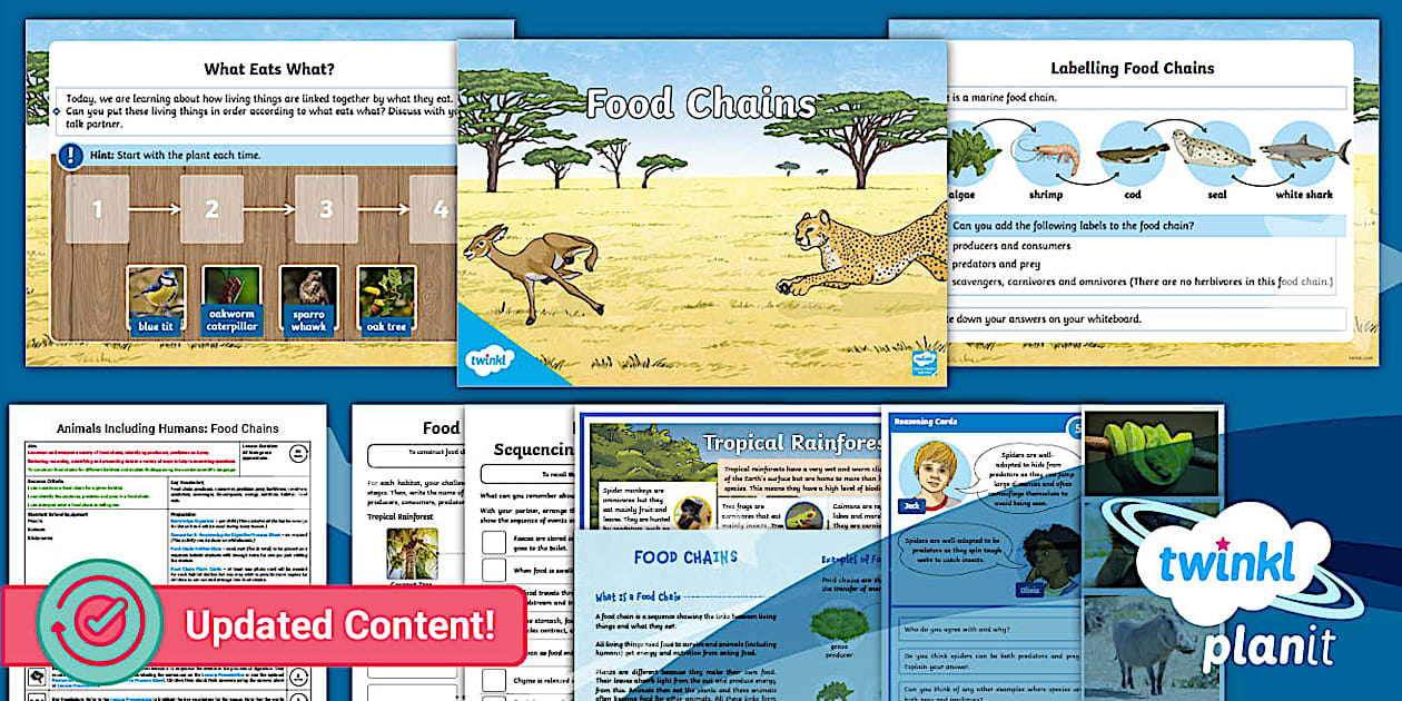 Science: Predator-Prey Food Chain Y4 Lesson 5 | Twinkl | KS2