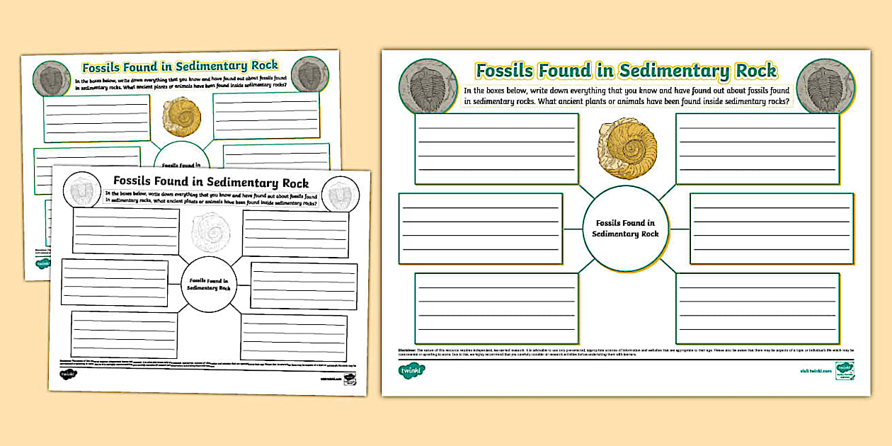 Fossils Found in Sedimentary Rock Mind Map (teacher made)