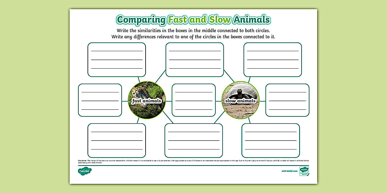 Comparing Fast and Slow Animals Mind Map (teacher made)