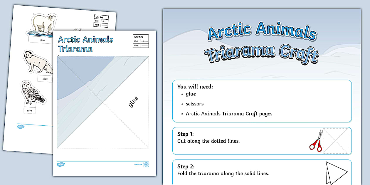 Arctic Animals Triarama Craft (l'enseignant a fait) - Twinkl