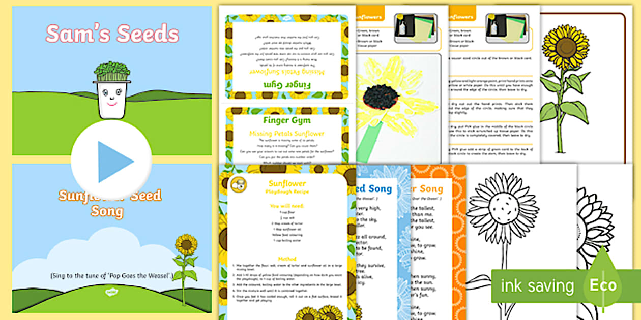 EYFS Sunflower School Resource Pack (teacher made) - Twinkl
