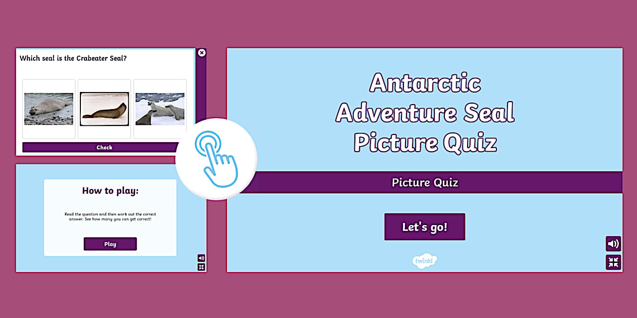 Antarctic Adventure Seal Picture Quiz (teacher made)