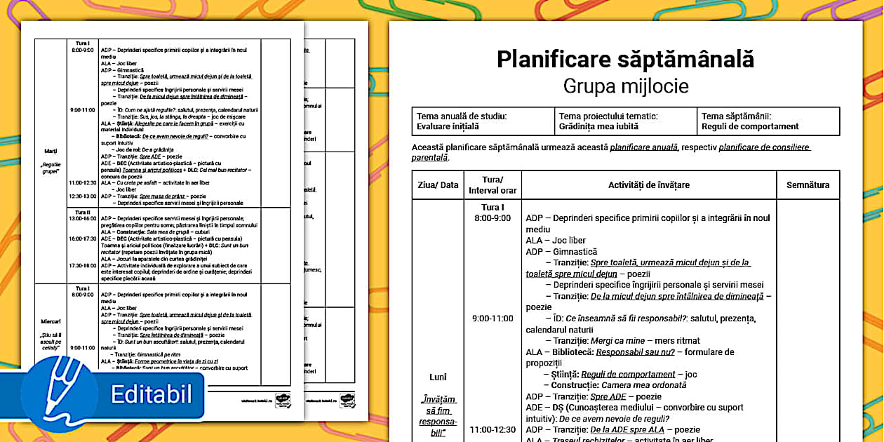 Reguli de comportament – Model de planificare grupa mijlocie