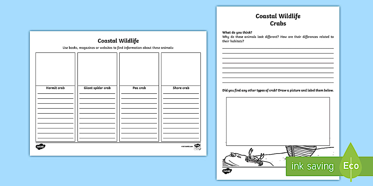 Coastal Wildlife: Crab Worksheet / Worksheet - Twinkl