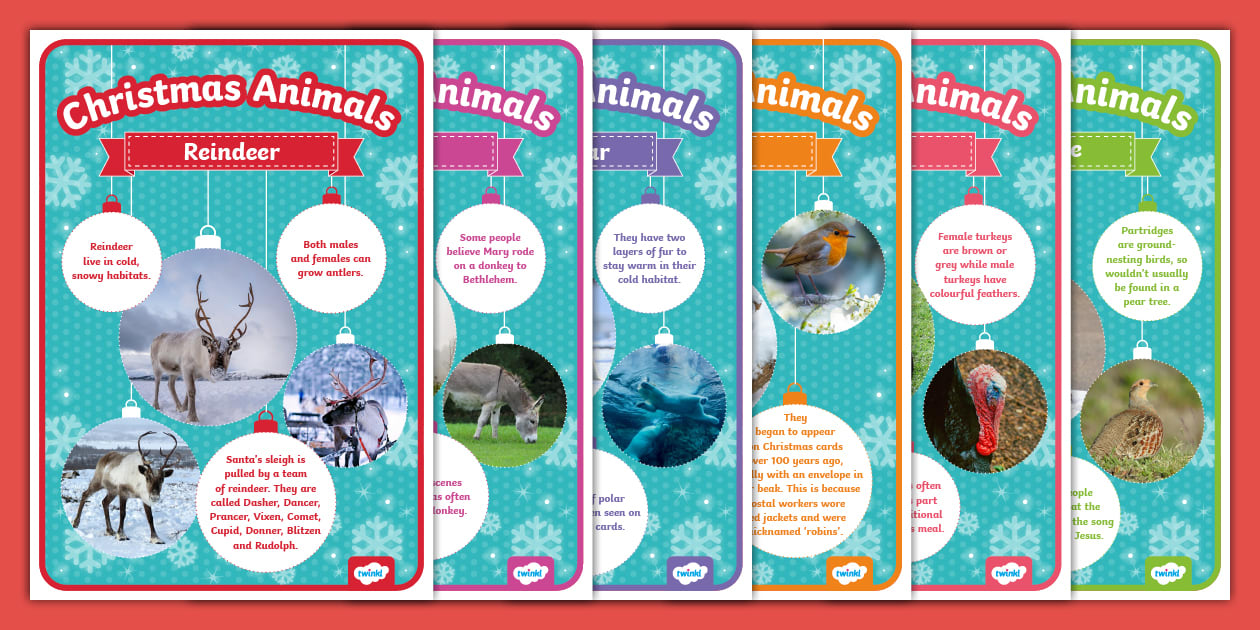 Christmas Animals Posters - Twinkl - KS1 (teacher made)