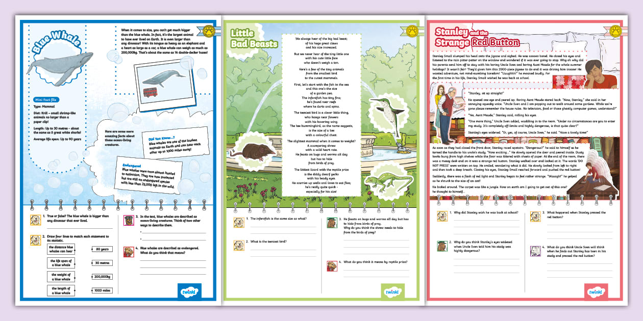 Year 4 Reading Revision Activity Mat Pack 4 - Twinkl