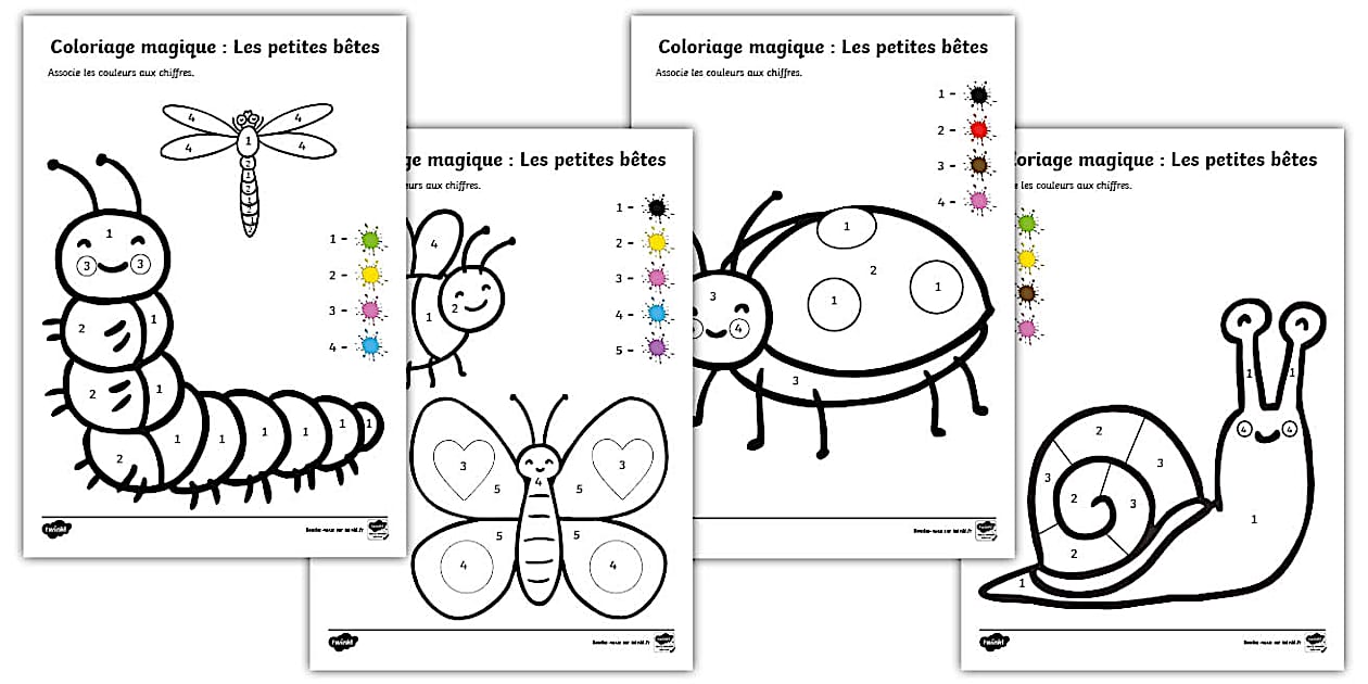 Coloriage magique PS (teacher made) - Twinkl