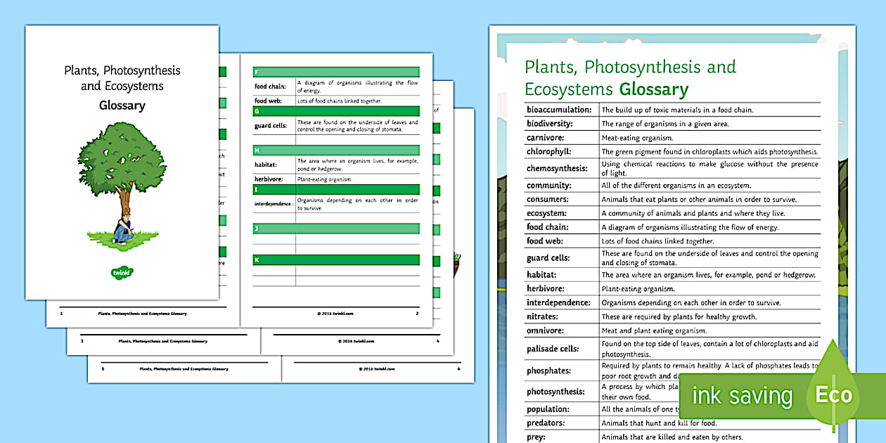 Plants, Photosynthesis and Ecosystems Glossary | Beyond