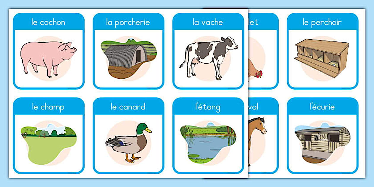 Cartes pour jeu de paires : Les animaux de la ferme - Twinkl